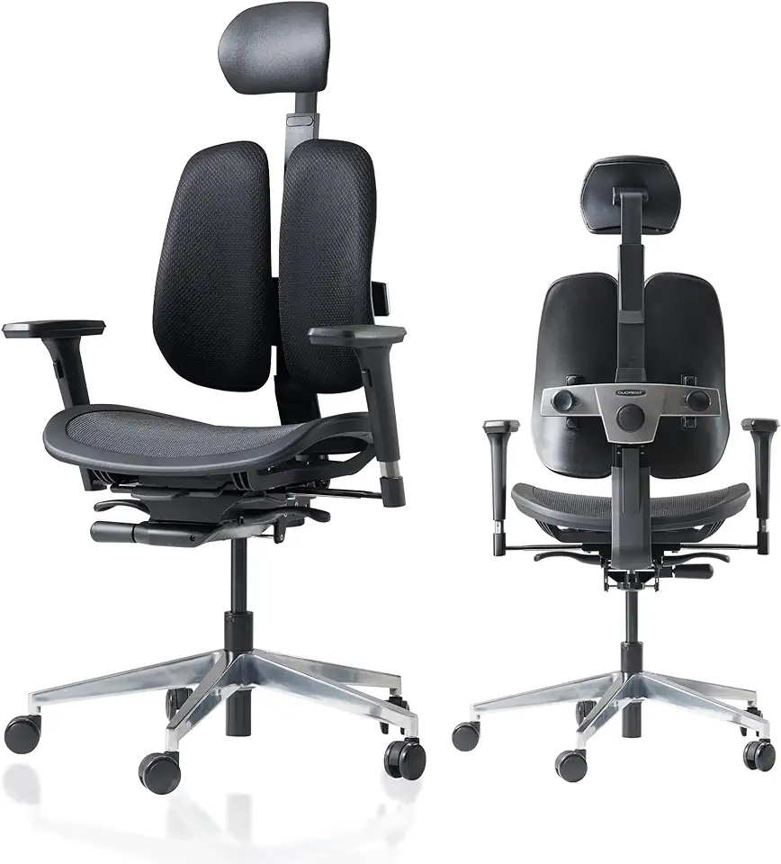 [Dual-backrests Alpha - Ergonomic Office Chair, Home Office Desk Chairs ...