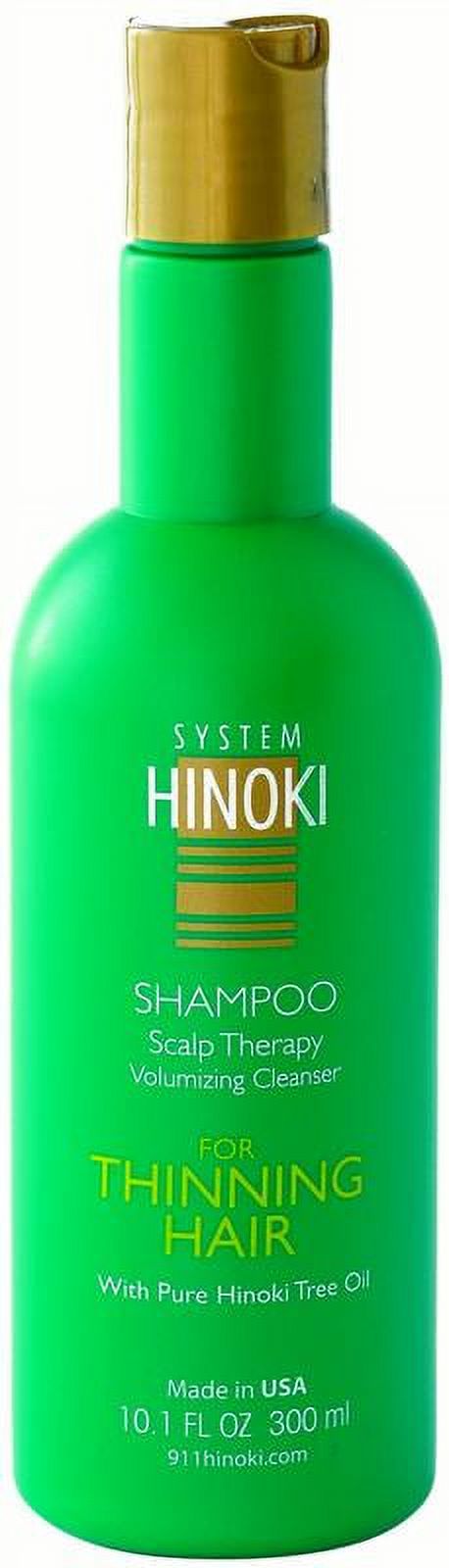 Hayashi System Hinoki Thinning Hair Scalp Therapy Shampoo, 10.1 Fl Oz ...