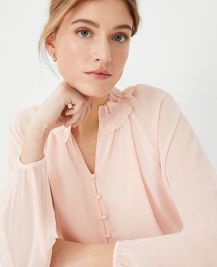 Ann Taylor Ruffled Raglan Sleeve Top