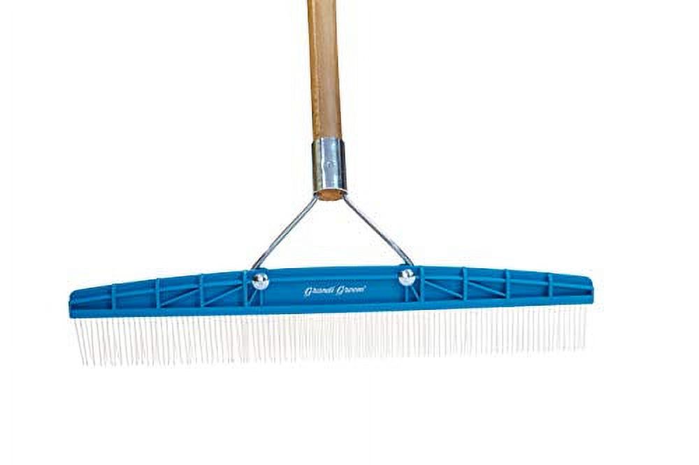 Grandi Groom AB24 Carpet Rake, 18-Inch Head, 54-Inch Handle, Blue ...