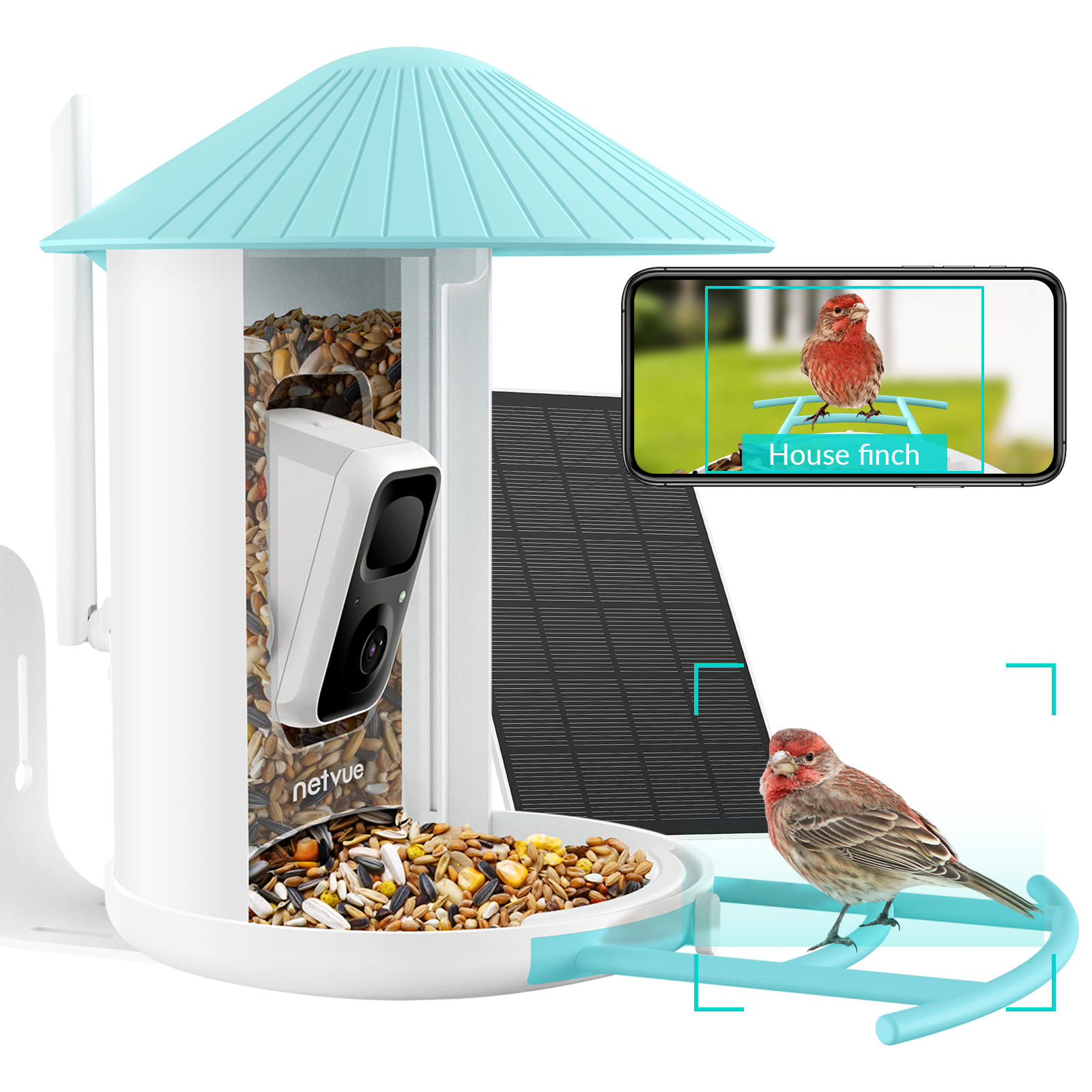 Bird Feeder with Camera, Netvue Birdfy Smart Bird Feeder with Free AI ...