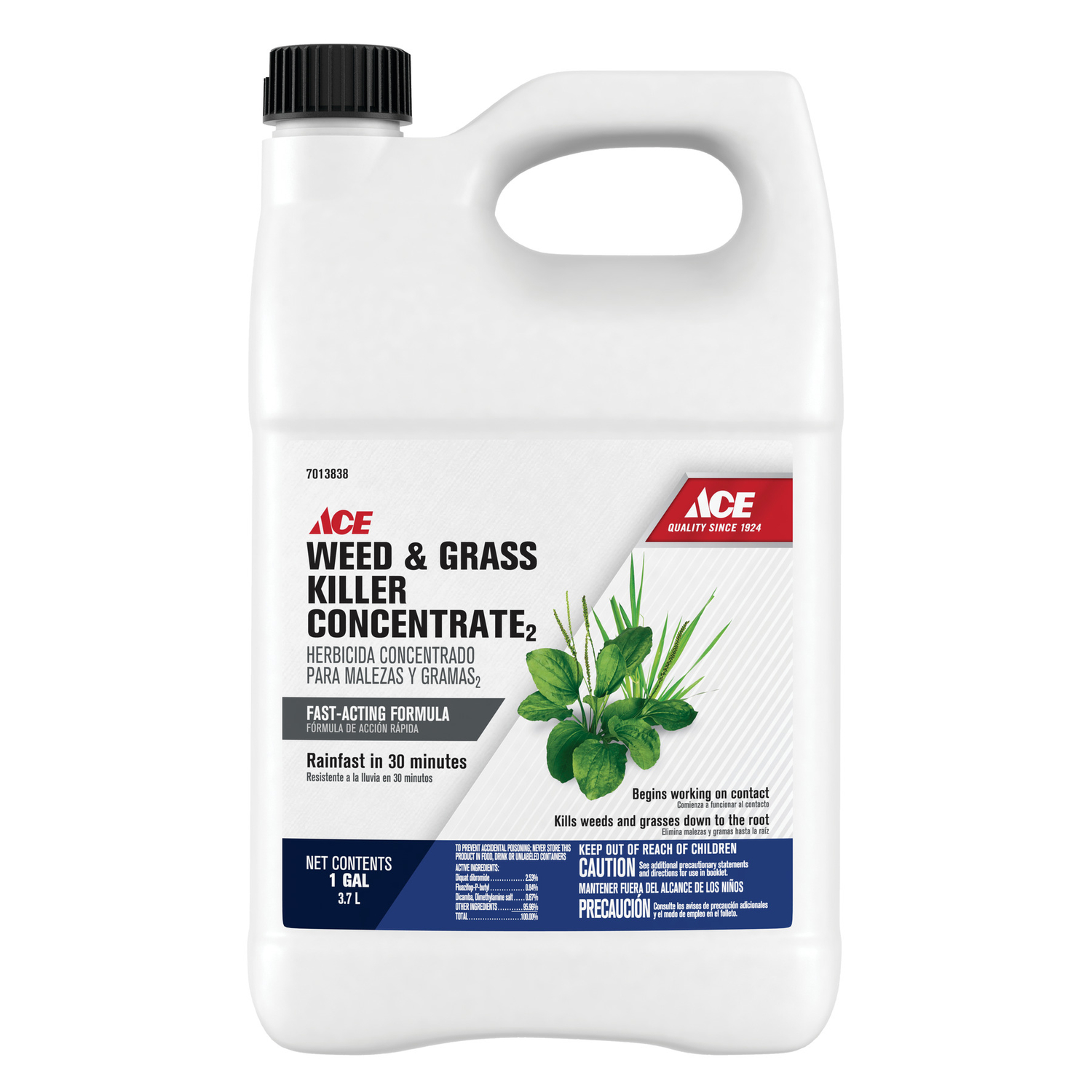 Ace Weed and Grass Killer Concentrate 1 gal - Walmart Texas
