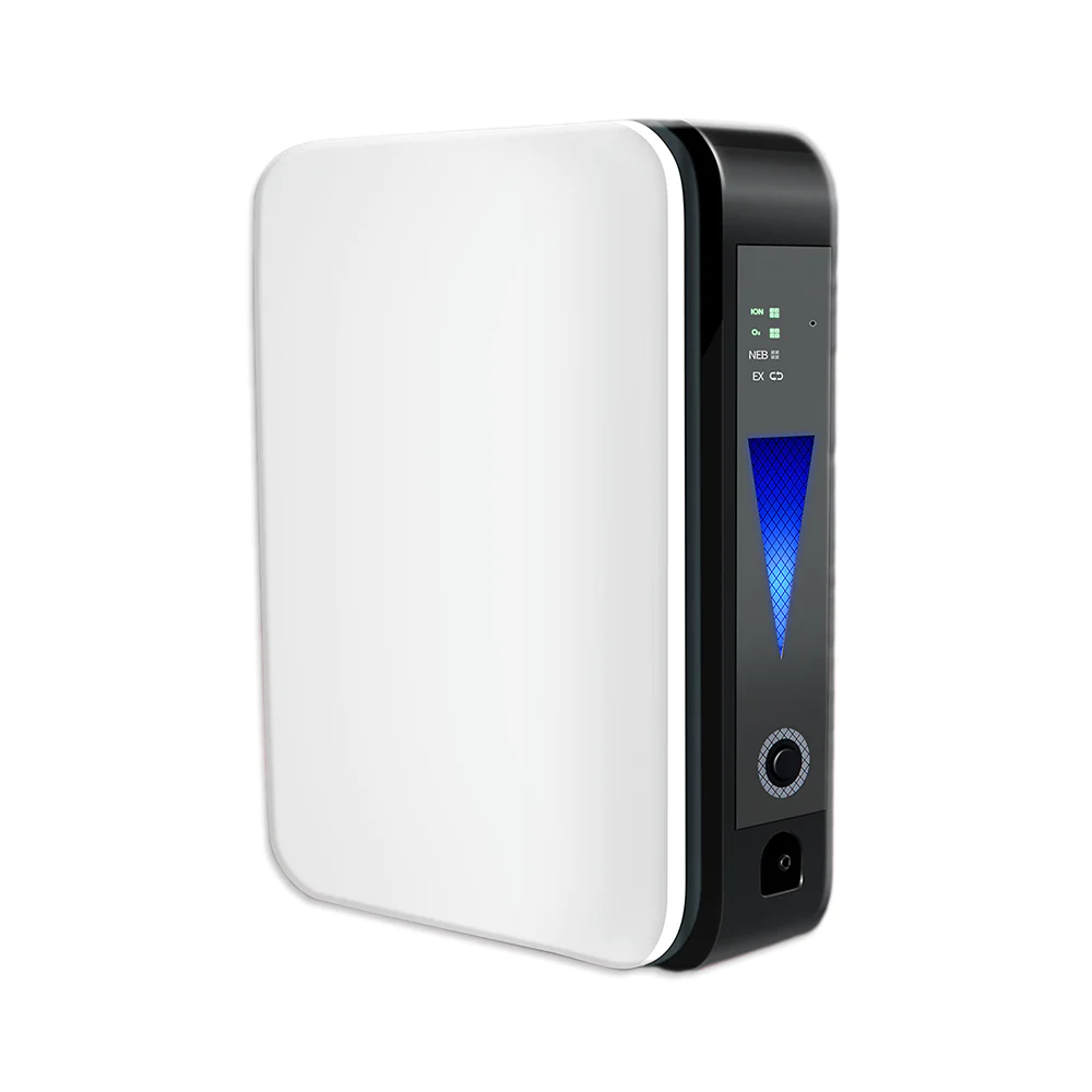 Low Noise Mini Vehicle Travel Use 1L Continuous Flow Oxygen ...