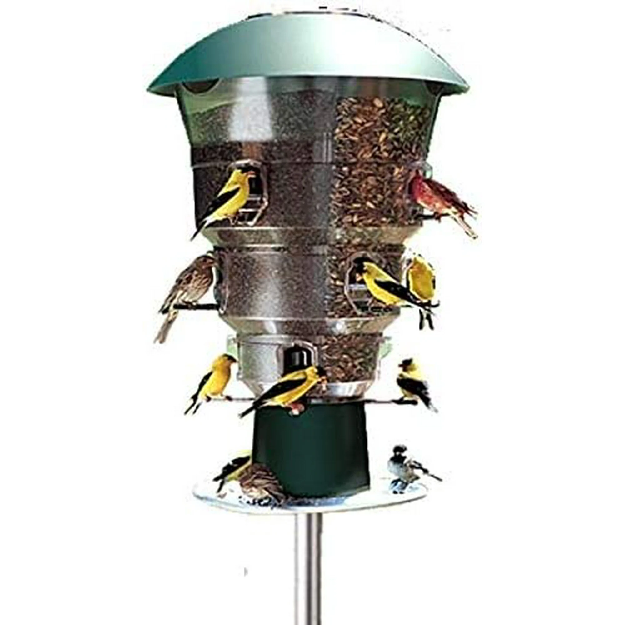 12 Station Squirrel Proof Feeder - Texas Outlet