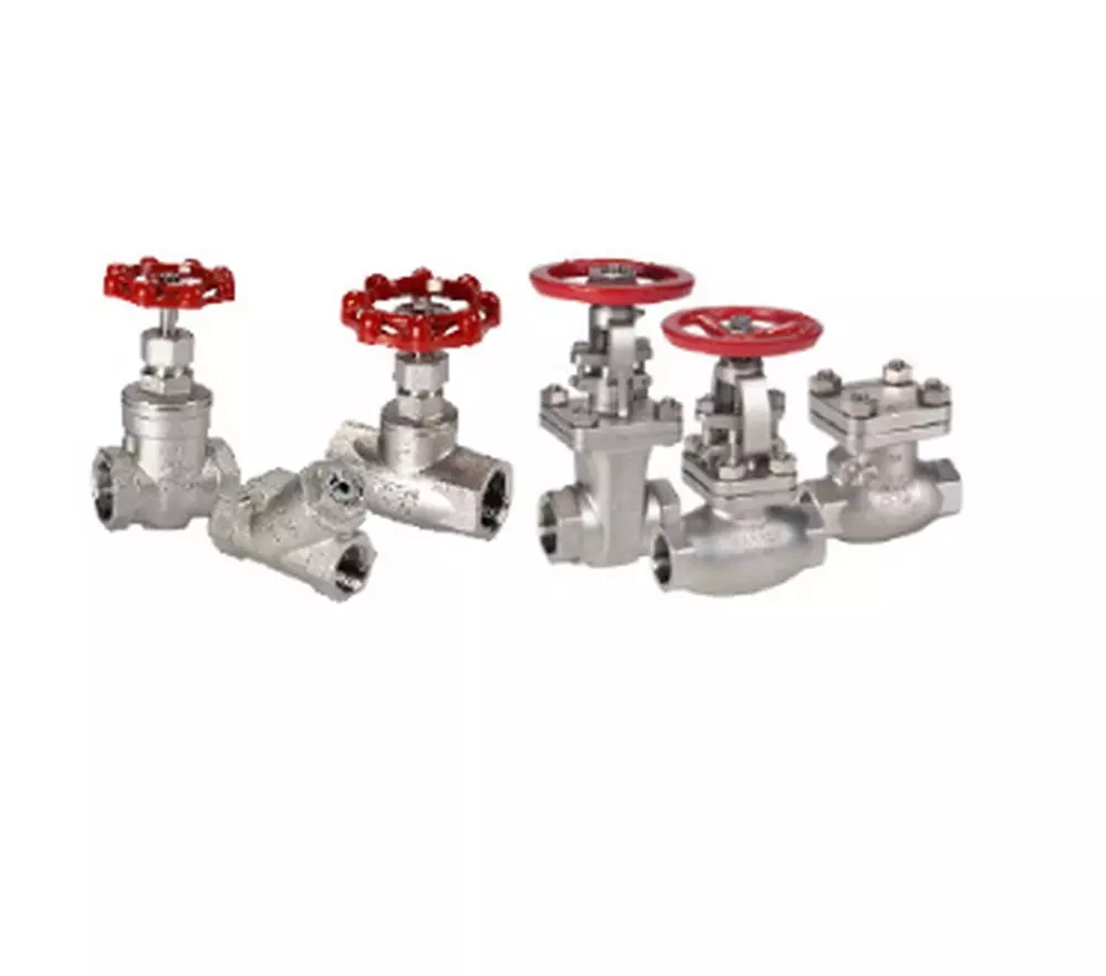 Warren Valve LP Stainless Steel NPT Swing Check Valve - Texas Outlet