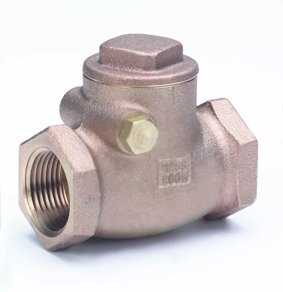 2 in. Bronze Threaded Check Valve - Texas Outlet