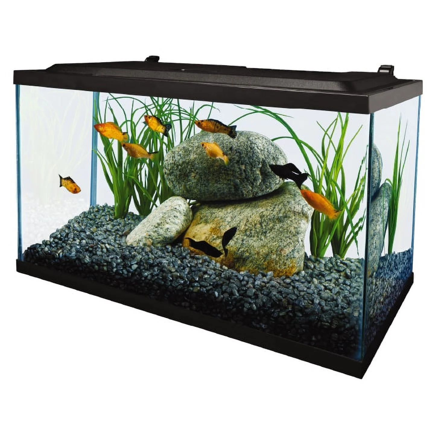 Tetra 10 Gallon Glass LED Aquarium Kit - Texas Outlet