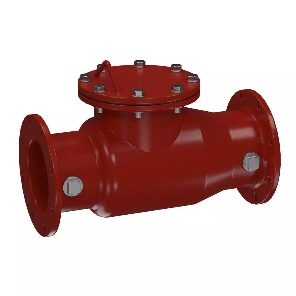 Ames Fire & Waterworks Steel Flanged Backflow Preventer - Texas Outlet