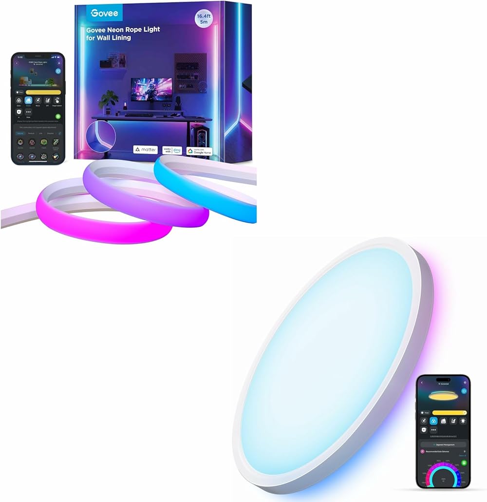 Govee Smart Ceiling Light, RGBIC LED Ceiling Light Fixture Bundle Neon ...