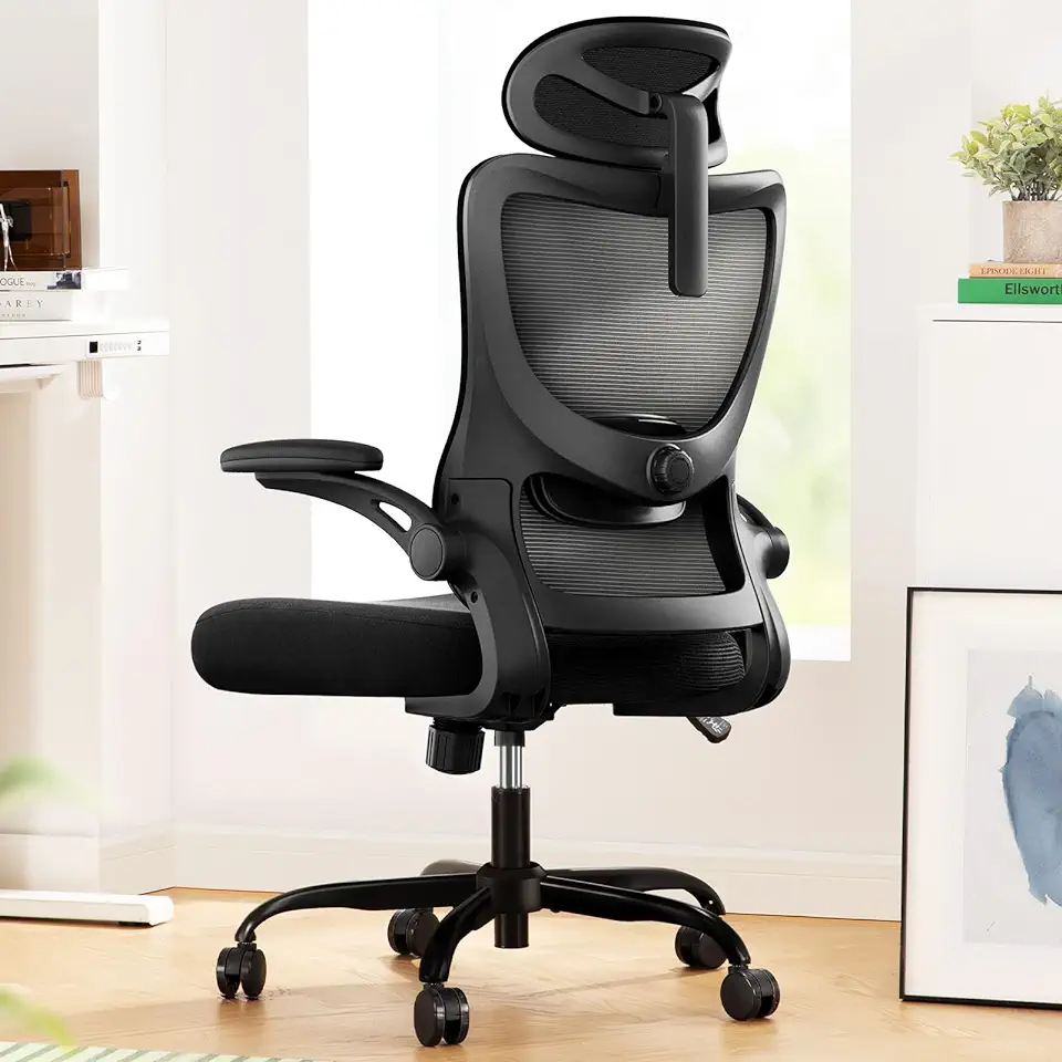 Marsail Ergonomic Office Chair: Office Computer Desk Chair with High ...