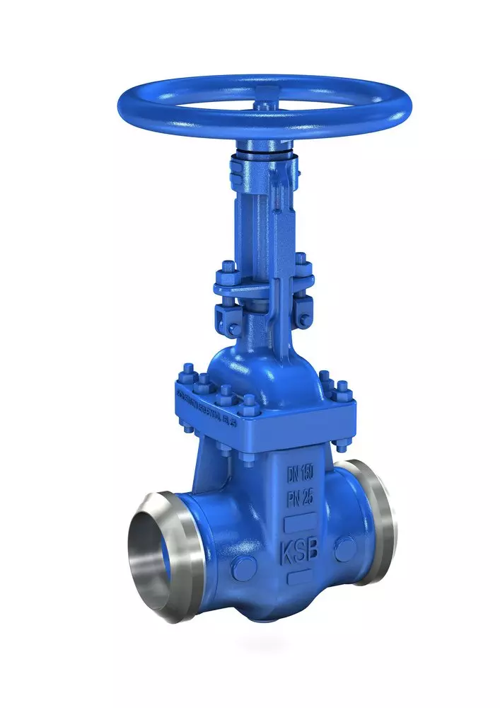 Neway Valve Cast Carbon Steel Butt Weld Gate Valve - Texas Outlet