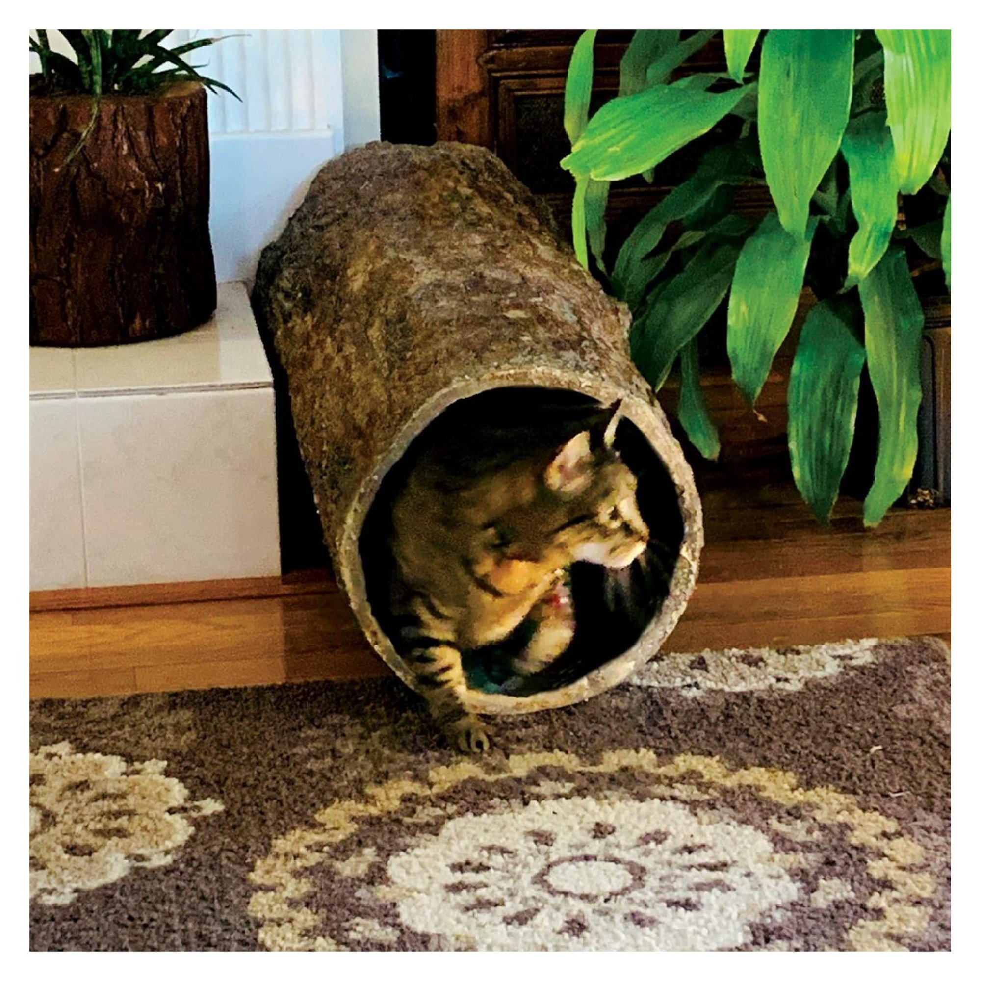 Hongwa Hollow Log Cat Hideaway - Indoor/Outdoor Kitten Hideout & Play ...