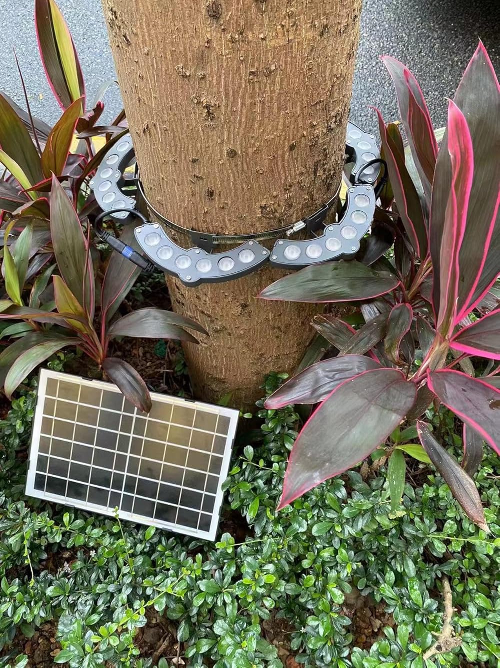 Solar Palm Tree Lights Outdoor Warm Light 3000K, Solar Landscape ...