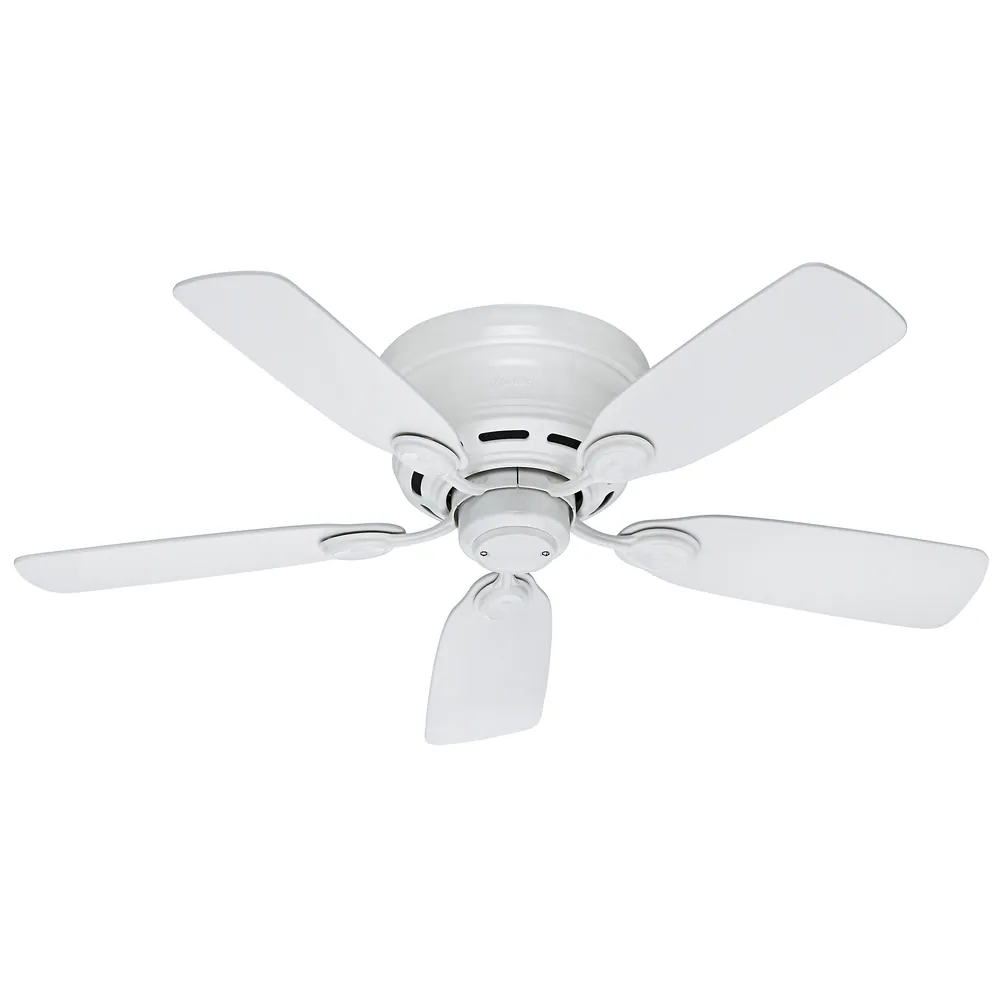 Hunter Low-Profile 42-inch Ceiling Fan with White Finish and 5 White ...