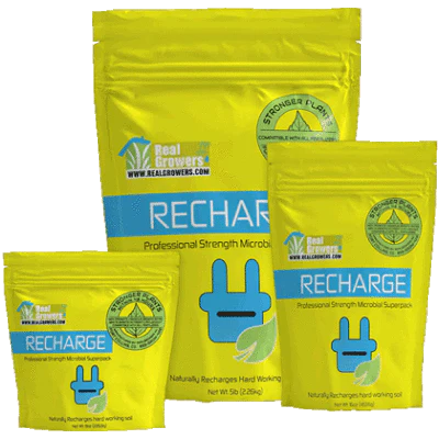 Real Growers Recharge - Soil Microbe Superpack - Arizona Outlet
