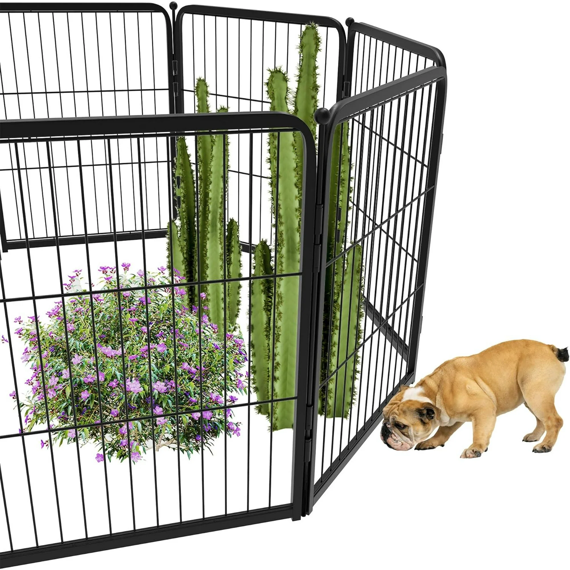 Decorative Garden Fence 4 Panels - Arizona Outlet