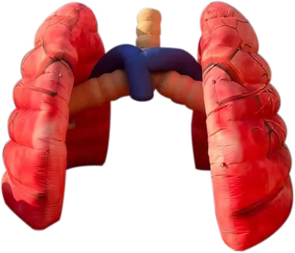 Giant Inflatable Lung Medical Exhibits Advertising Large Inflatable ...