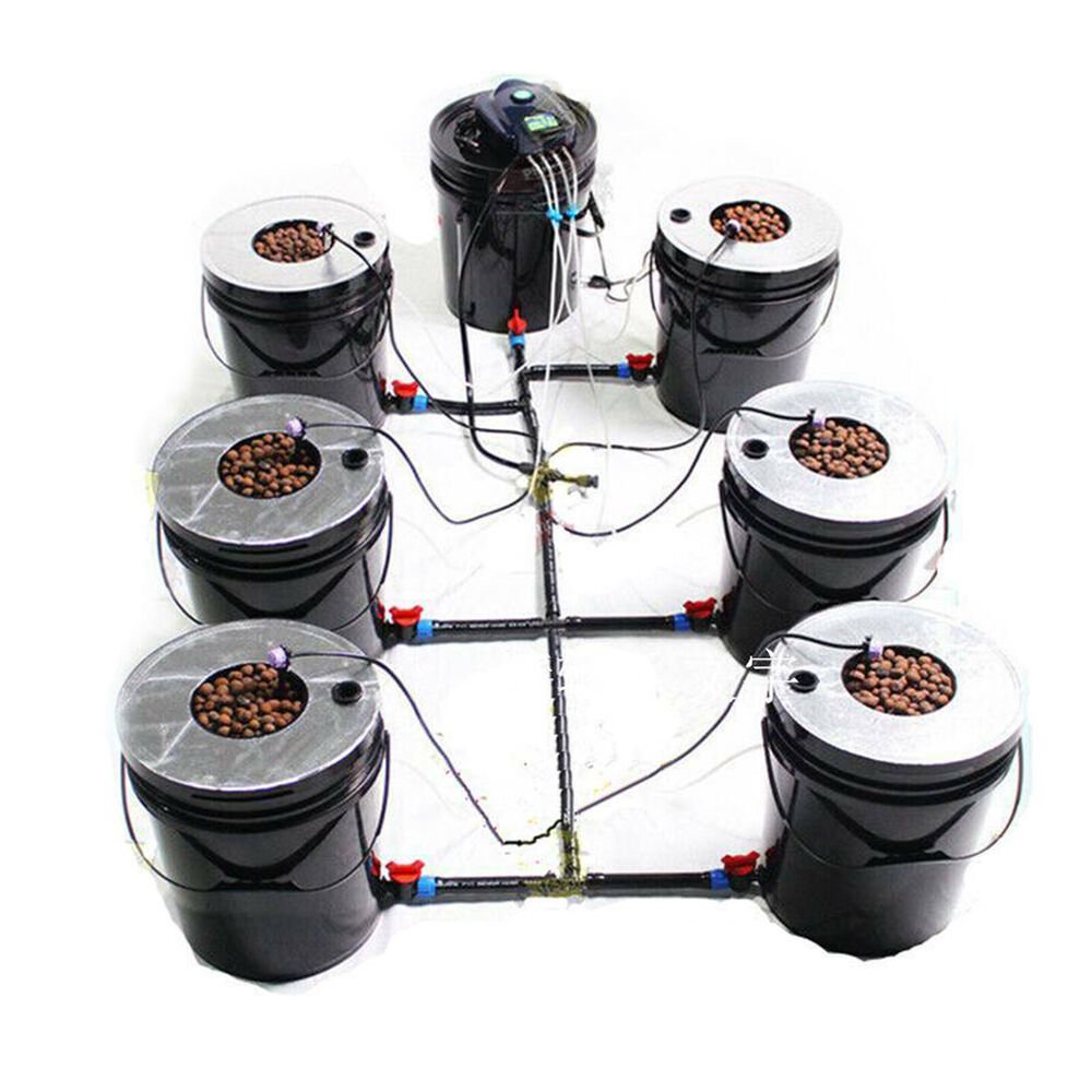DWC 5 Gallons 6 Buckets Hydroponics Growing System Recirculating ...