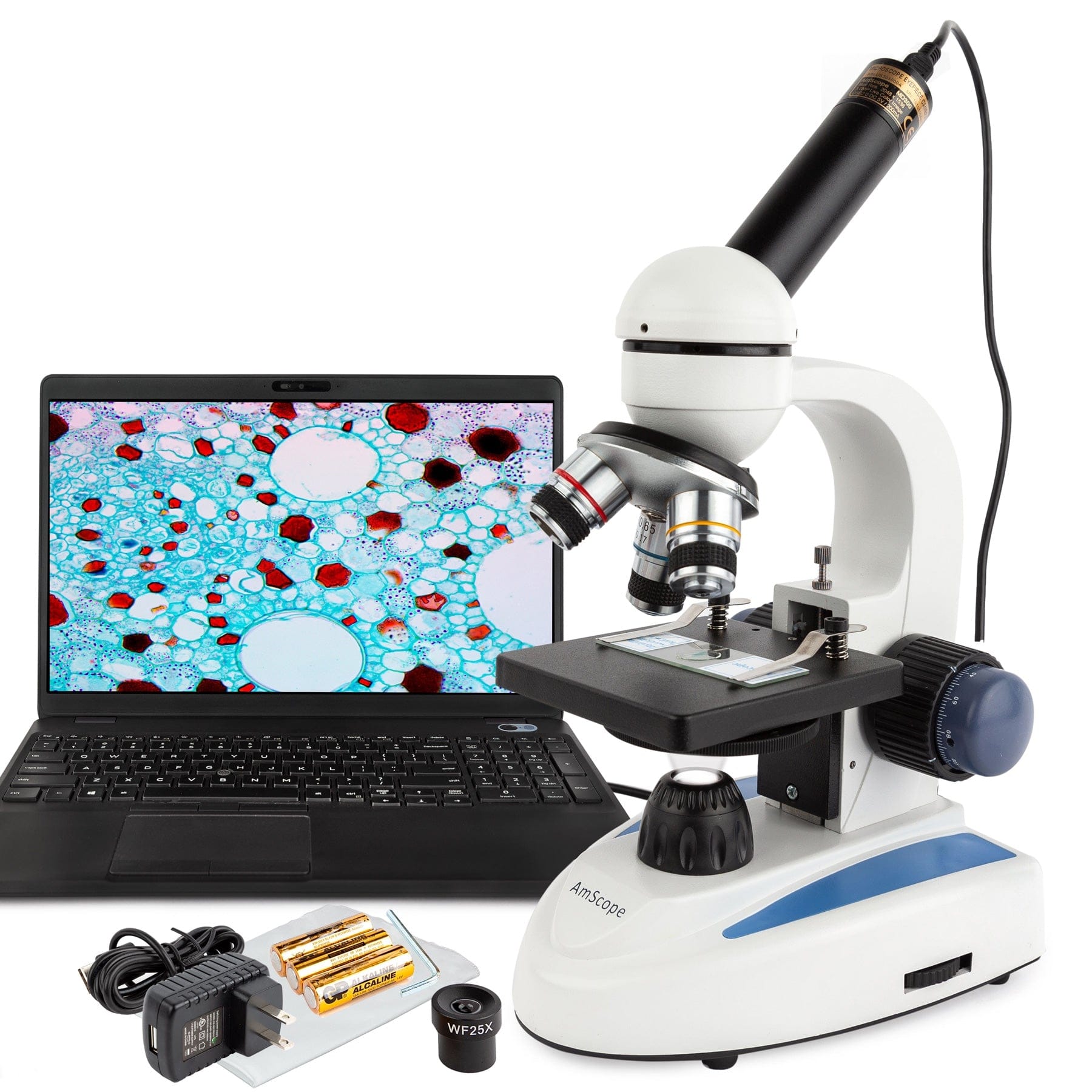 AmScope 40X-1000X Portable Student Compound Microscope - All Metal ...