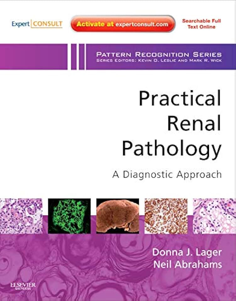 Practical Renal Pathology, A Diagnostic Approach: A Volume in the ...