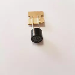 Samsung 250V Radial Lead Fuse - Costco Arizona