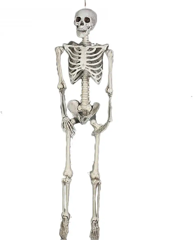 Horror Skeleton Bones Haunted House Secret Room Layout Plastic Props ...