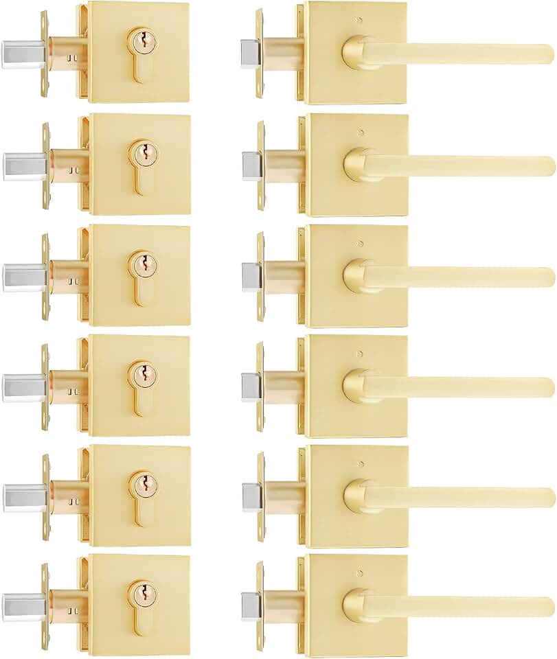 Leydebong 6 Pack Heavy Duty Front Door Entry Lever Lockset and Single ...
