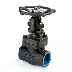 Neway Valve Forged Steel Full Port Socket Weld Gate Valve - Arizona Outlet