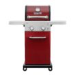 Permasteel Red 2-Burner Liquid Propane Gas Grill - Overstock Arizona
