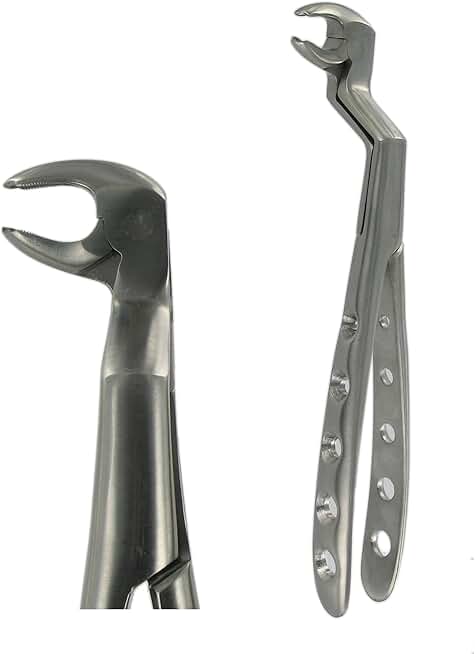 4973 English Forceps 22 1/2R Lower Wisdom - Costco Arizona