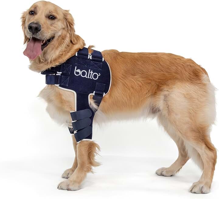 Balto Lux Adjustable Dog Shoulder Brace – Shoulder Brace – Support ...