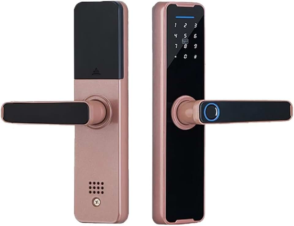 Biometric Fingerprint Lock Electronic Smart Door Lock Remote Keyless ...