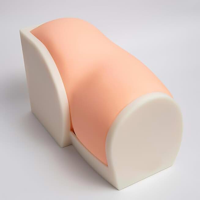 Sciatic Nerve Model,Can Be Used for Practice of Sciatic Nerve Puncture ...