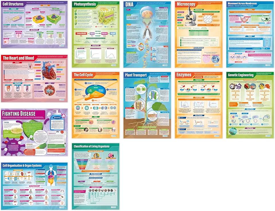 Daydream Education Biology Science Posters - Set of 13 - EXTRA LARGE 33 ...