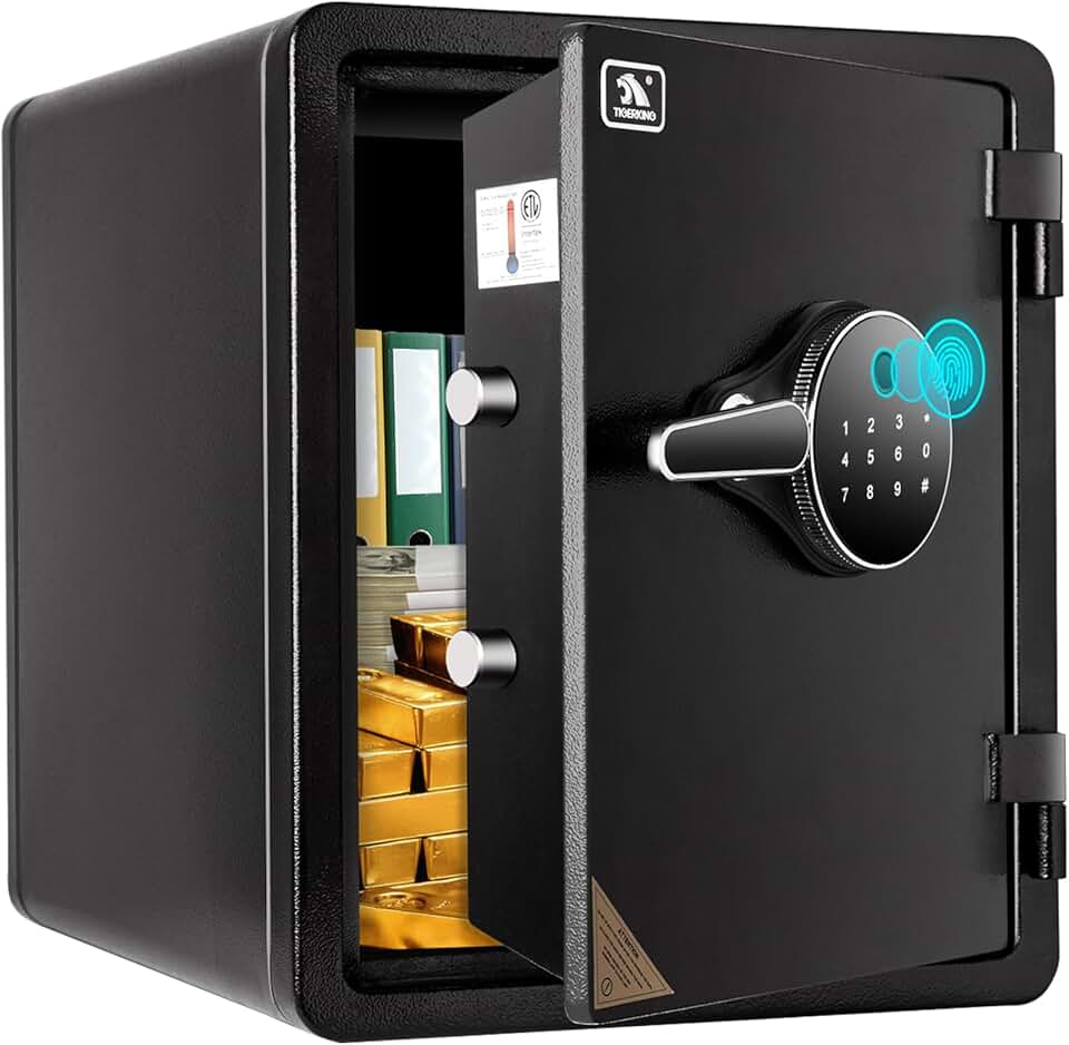 Tigerking Safe Box, Biometric Safe for Home - Costco Arizona