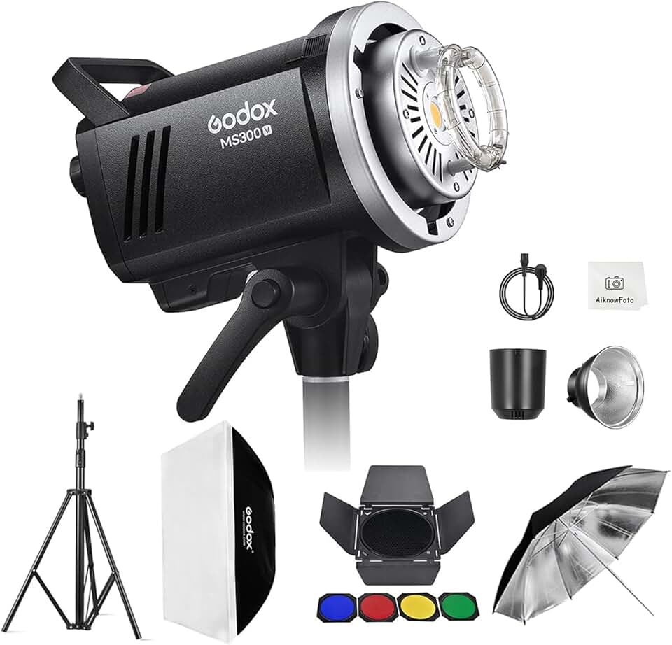 GODOX MS300V 300W Professional Studio Strobe Flash Light Kit for ...