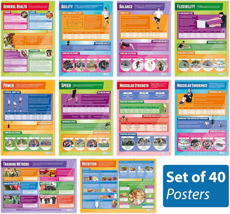 Daydream Education Physical Education Posters - Set of 40 - Laminated ...