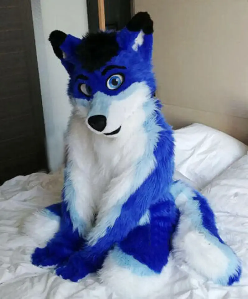 Royal Blue Huksy Dog Fursuit Fullsuit Teen Costumes Child Full Furry ...
