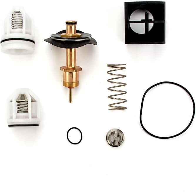 Watts 009 3/4" & 1" Total Repair Kit 0887283 887283 Included Kits ...