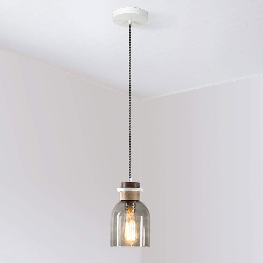 Nordic Single Head Pendant Light Glass Shade Retro Art LED Profession ...