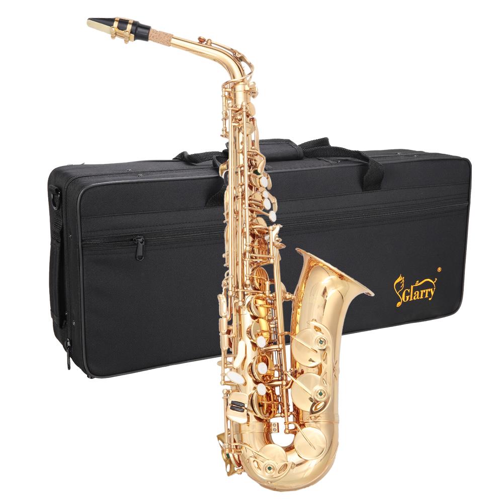 Glarry Professional Eb Alto Saxophone Kit with 11 Reeds/Case/Carekit ...