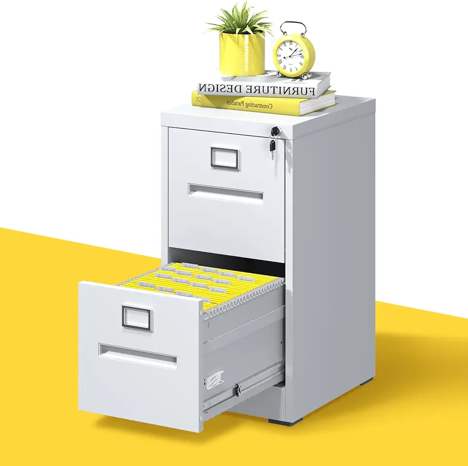 2 Drawer File Cabinet, Metal Vertical Filing Cabinet for Home Office ...