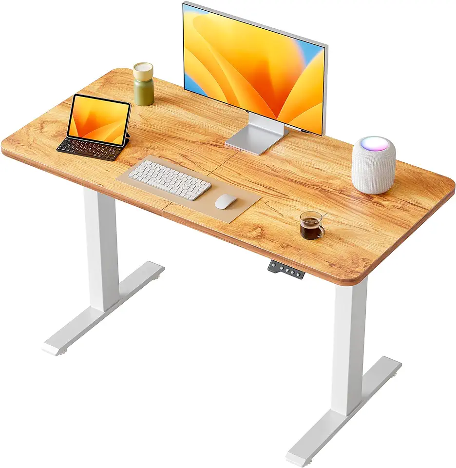 FAMISKY 44 x 24 Standing Desk Adjustable Height, Electric Stand Up Desk ...