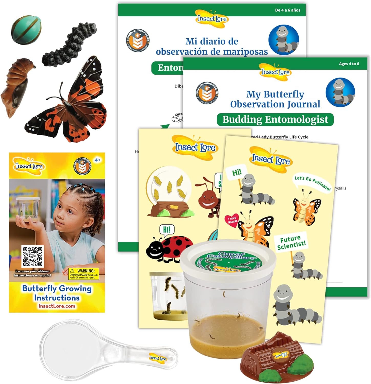 Live Cup of Caterpillars – Dual Lens Magnifier – Butterfly Life Cycle ...