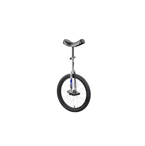 Sun 26 Inch Classic Chrome/black Unicycle - Costco Arizona