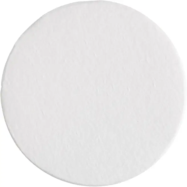Ahlstrom 1610-2400 Borosilicate Glass Microfiber Filter Paper, 1.1 ...