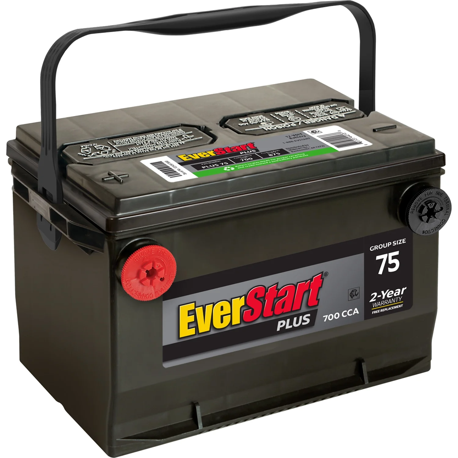 EverStart Plus Lead Acid Automotive Battery, Group Size 75 12 Volt, 700 ...